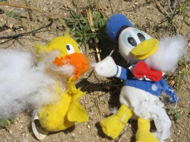 Honestly, do you really like 22 rifles? - 24hourcampfire