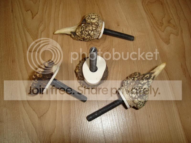 Antler limb bolts - Home grown | Archery Talk Forum