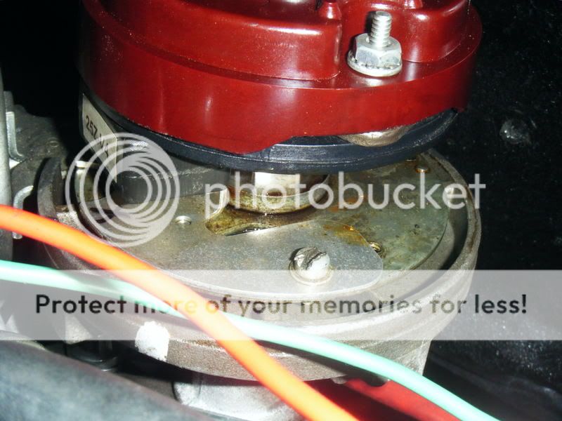 Which Dizzy Cap to buy? | Team Camaro Tech