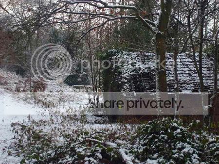 Hurcott woods in the snow | Kidderminster Shuttle