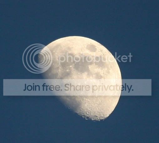 Few Pics From My New Lense And A Question Or Two - Photography - Manx ...