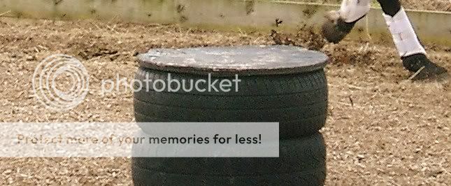 Any ideas for portable mounting blocks? | Horse and Hound Forum