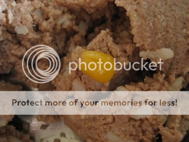 No Corn, Except For The Corn – Across the Oonaverse