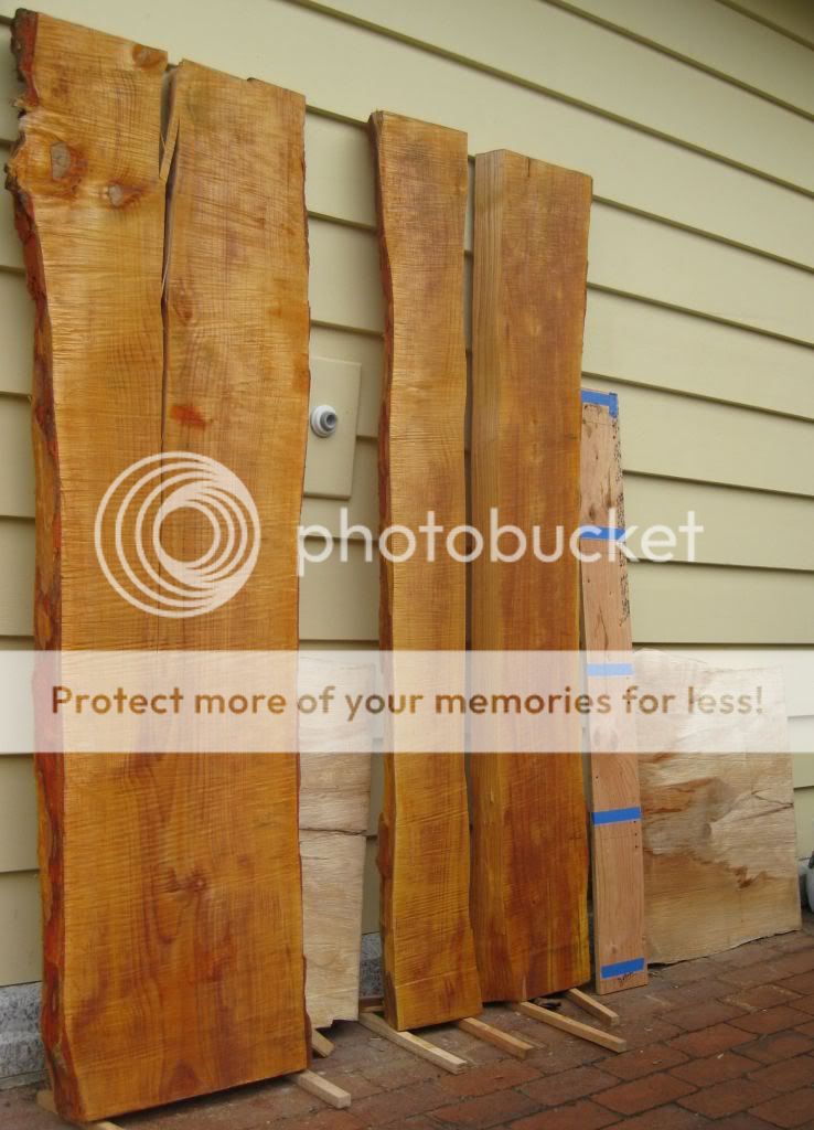 Cutting Maple | Arborist, Chainsaw & Tree Work Forum