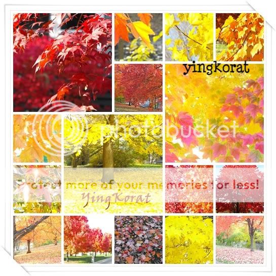 Late Fall in Lansing, MI