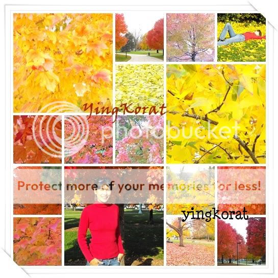 Late Fall in Lansing, MI