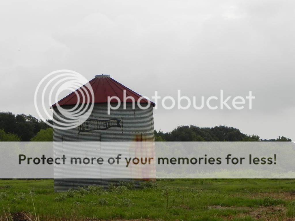 Pics from today... what do you think? | S197 Mustang Forum - S197Forum.com