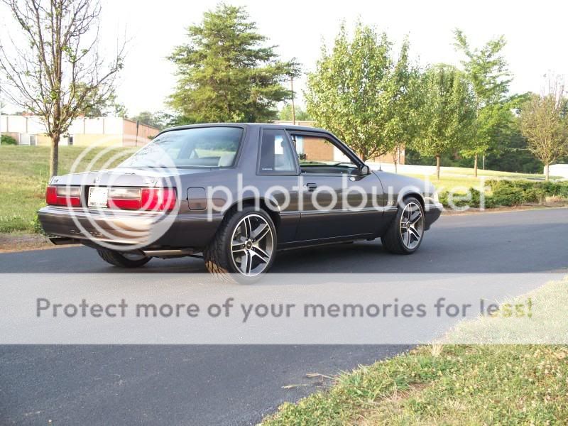 92 Notch Winter Build | Ford Mustang Forums