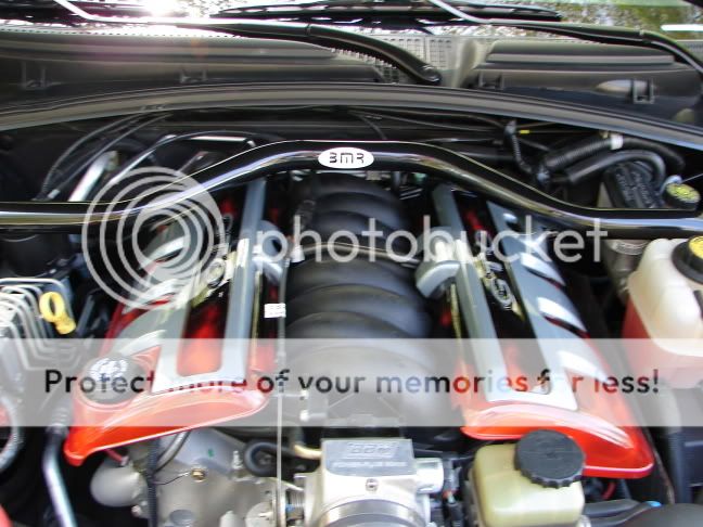 Post pics of your engine bay(GTO) | LS1GTO Forums