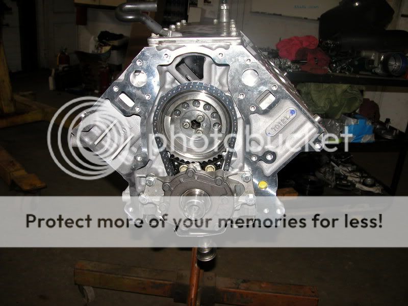 Is there a timing chain guide on the LS1? | LS1GTO Forums