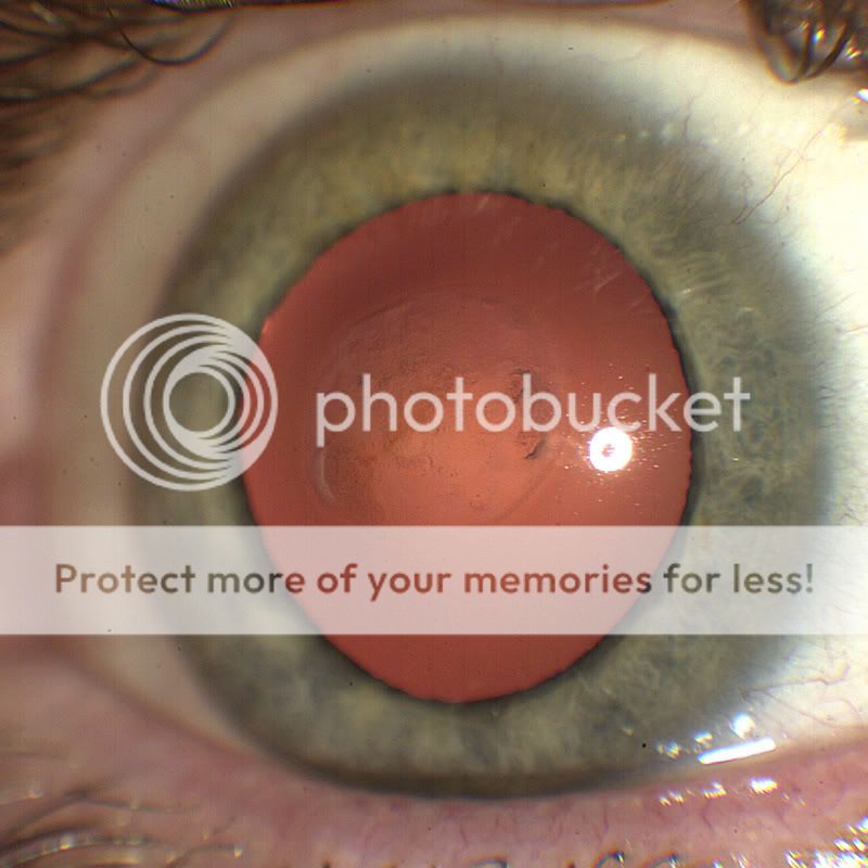 The Photography Thread | Page 30 | Ibanez JEM Forum