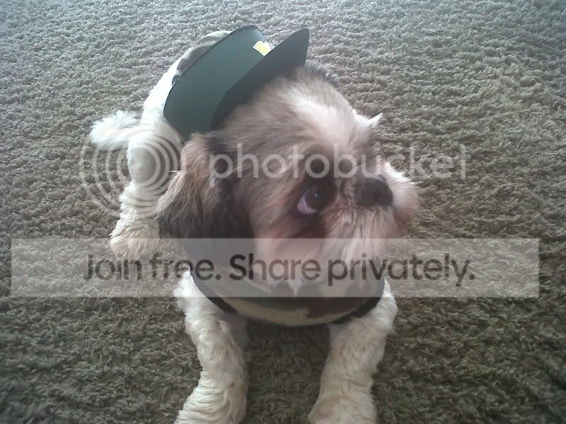 My dog went out as Fidel Castro > General Discussion > AR15.COM