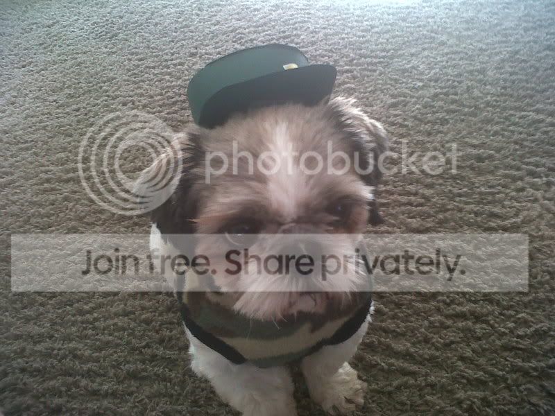 My dog went out as Fidel Castro > General Discussion > AR15.COM